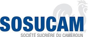 03 vacant positions at SOSUCAM Mbandjok – Prep-Class Digital Services