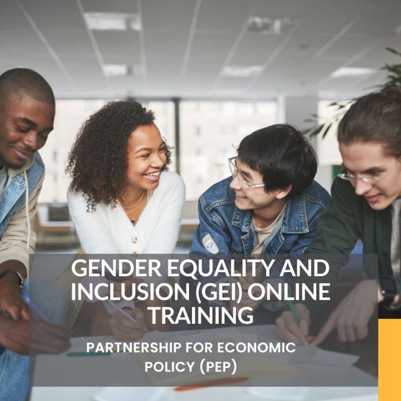 🌍 Expand your research with Gender Equality and Inclusion (GEI)! – Prep ...