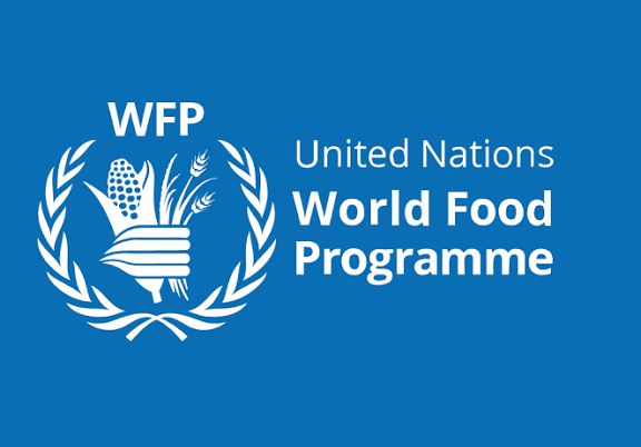 Data Scientist Consultant needed at World Food Programme Cameroon ...